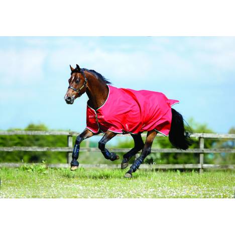 EquineNow Horses for Sale