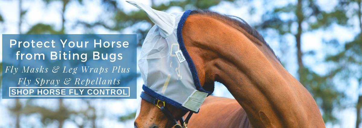 Equestrian Collections - Horse - Riding - Boots