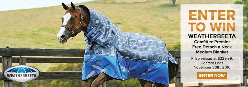 Equestrian Collections - Horse - Riding - Boots