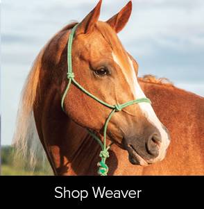 Equestrian Collections - Horse - Riding - Boots