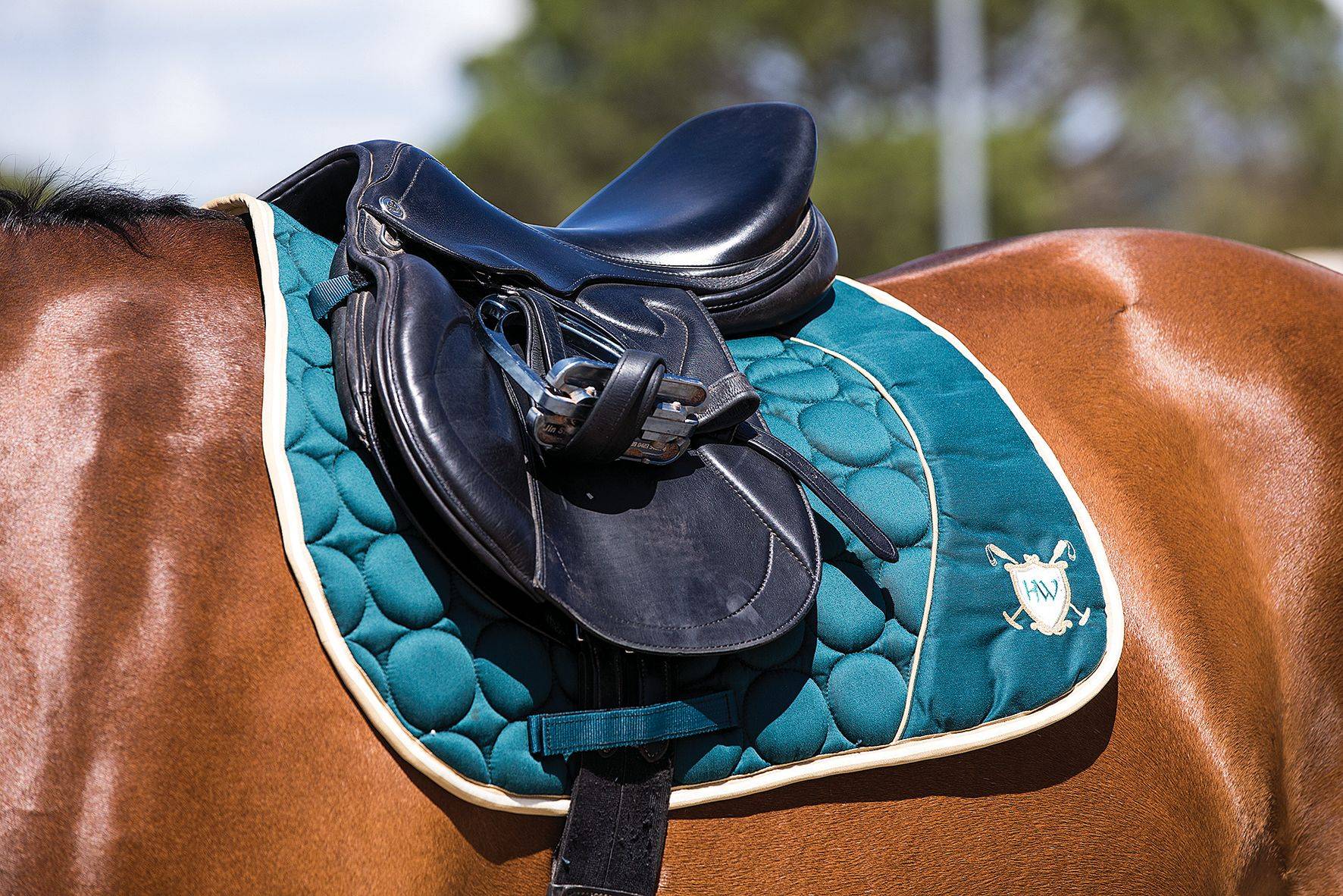 Shaped Horse Saddle Pads